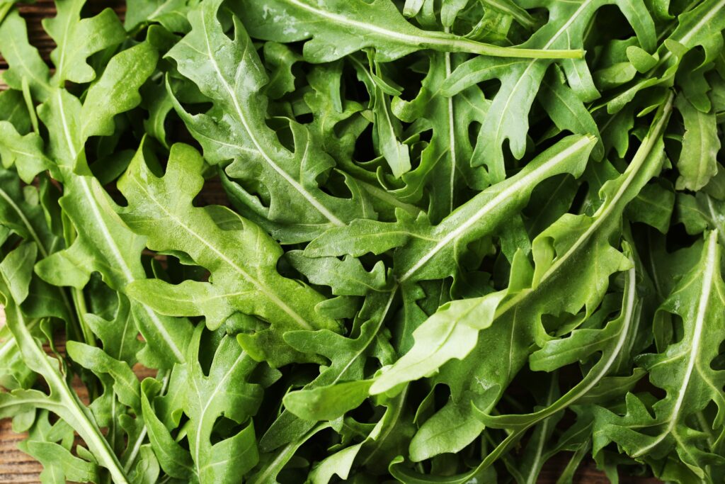How to Plant and Grow Arugula: A Simple Guide for Fresh Greens